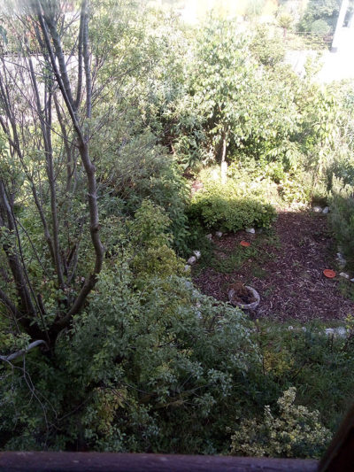 Charming Home For Sale: Sequoia, Newtown, Cobh, Co. Cork