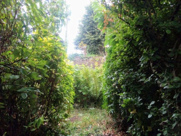 Charming Home For Sale: Sequoia, Newtown, Cobh, Co. Cork