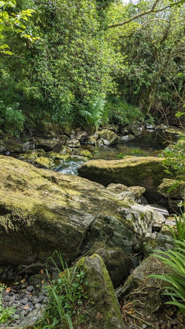 Castle Donovan, Drimoleague, Co. Cork - FormerGlory.ie
