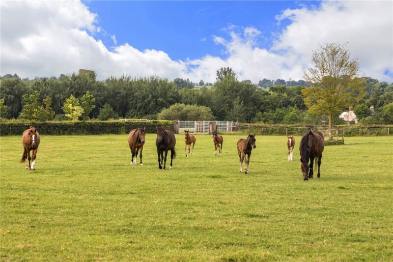 Gowran Castle, Gowran, Co. Kilkenny - FormerGlory.ie